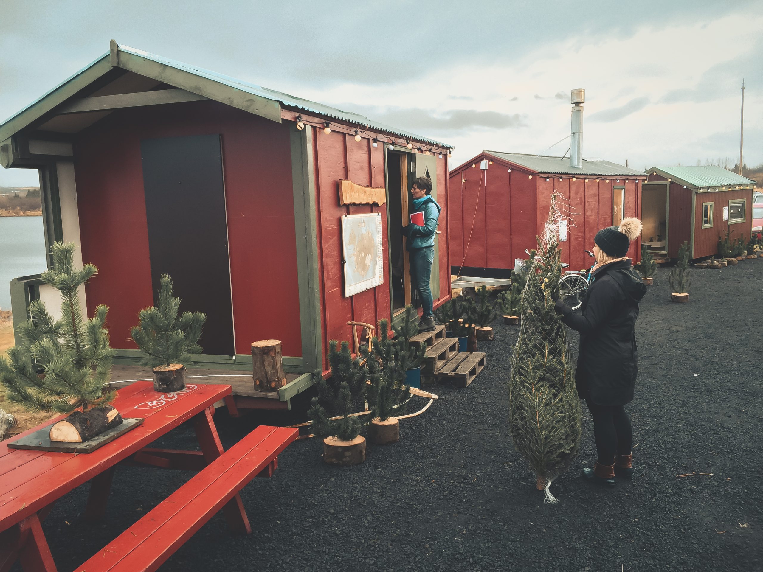 Christmas in Reykjavik | Ultimate Guide to Iceland's Holiday ...